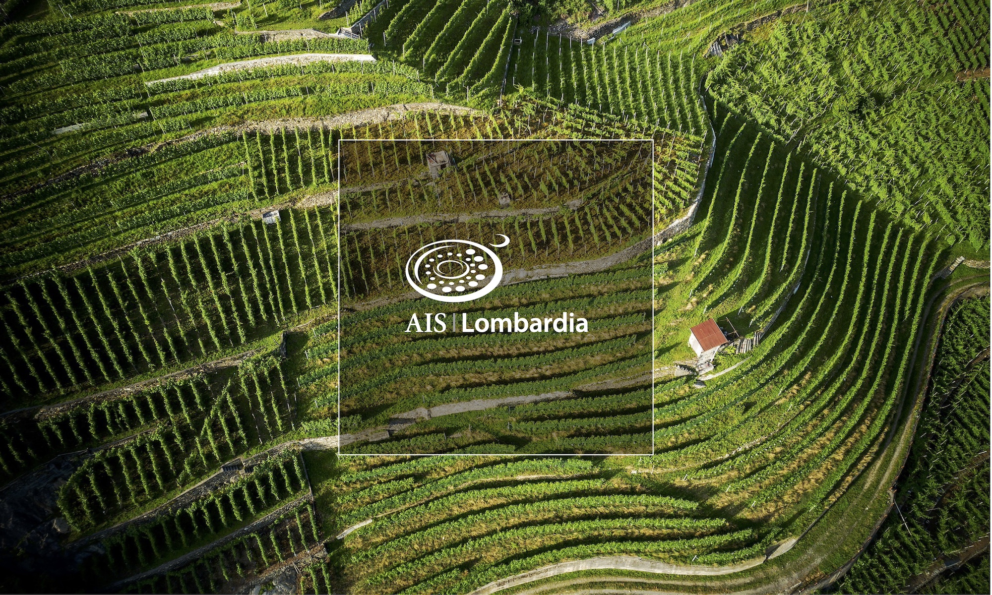 AIS Lombardia - Associazione Italiana Sommelier