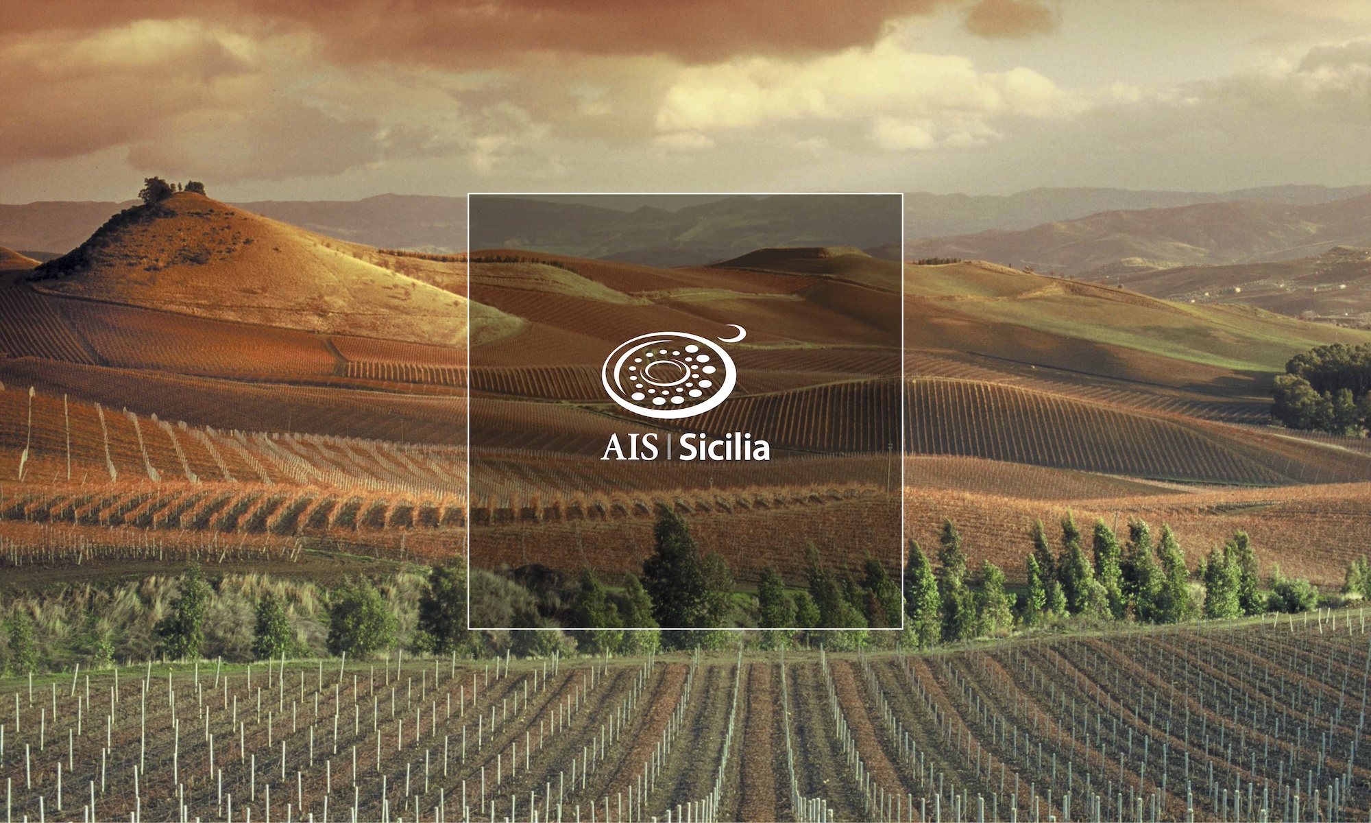 AIS Sicilia - Associazione Italiana Sommelier
