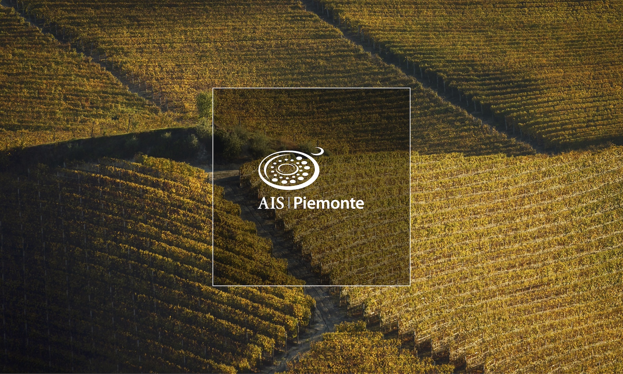 AIS Piemonte - Associazione Italiana Sommelier